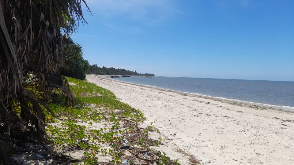 Mikocheni - Lease or JV Opportunity on the beach - Tzagents