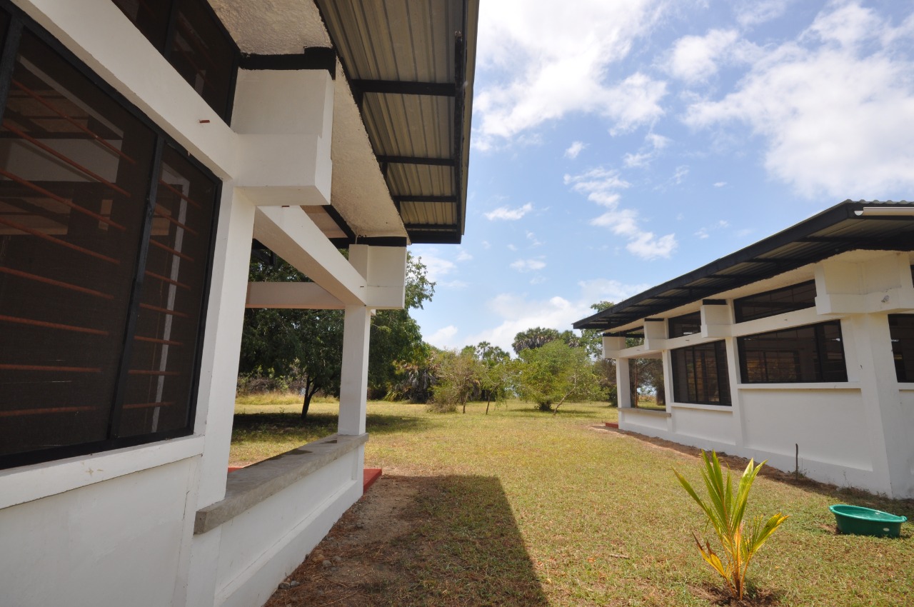 One Bedroom House in Pangani - Tzagents